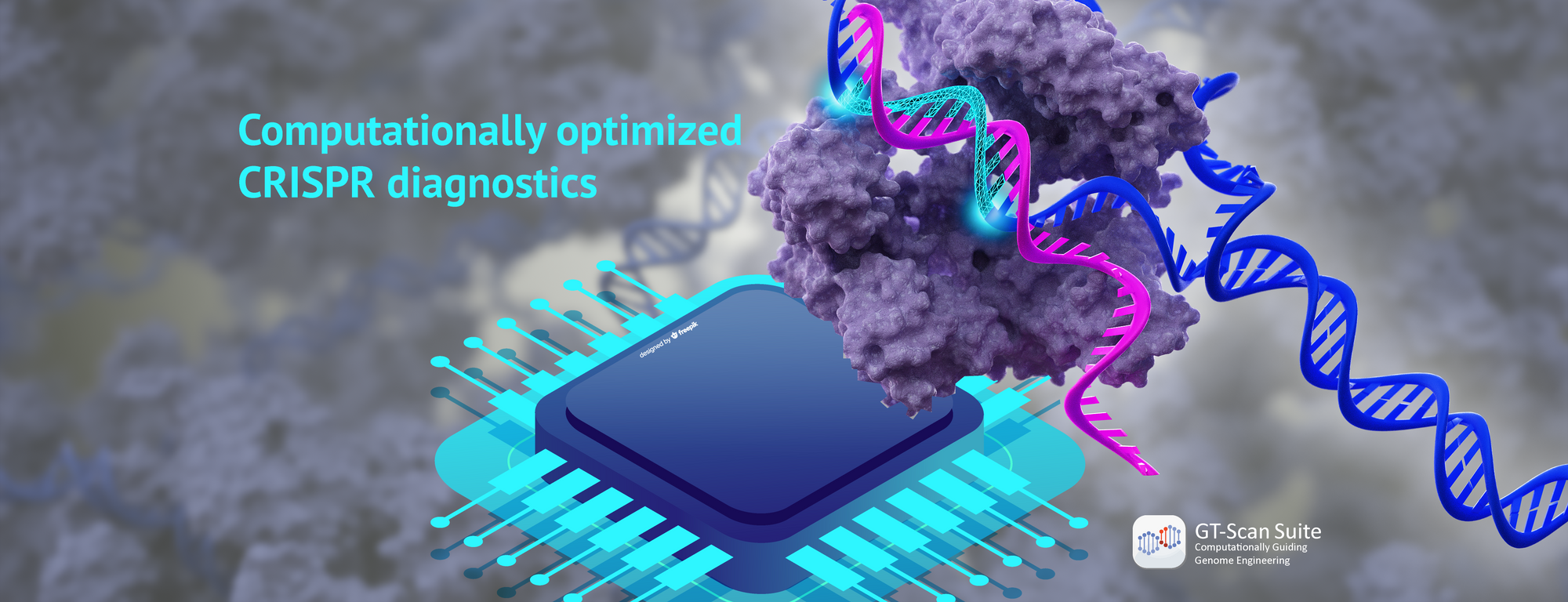 Computationally optimized CRISPR diagnostics